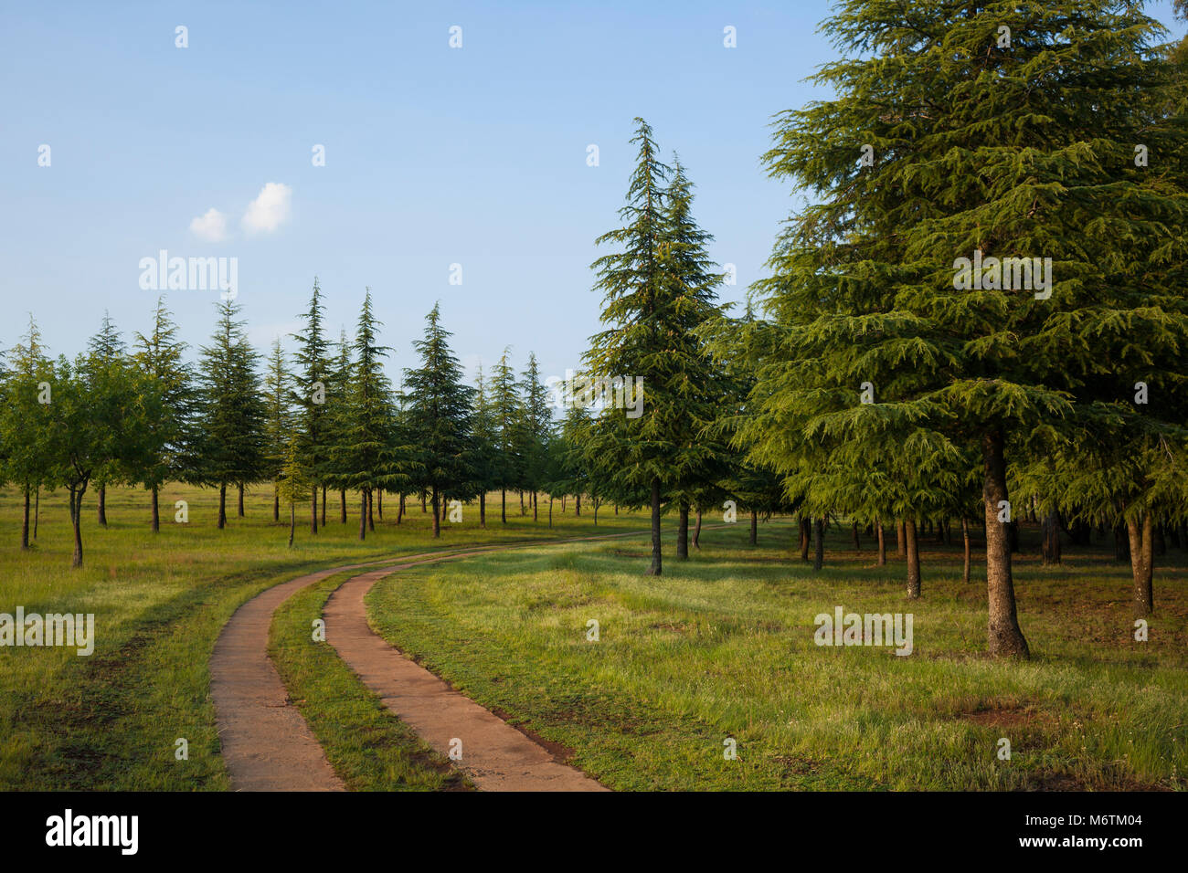 Two Track High Resolution Stock Photography and Images - Alamy