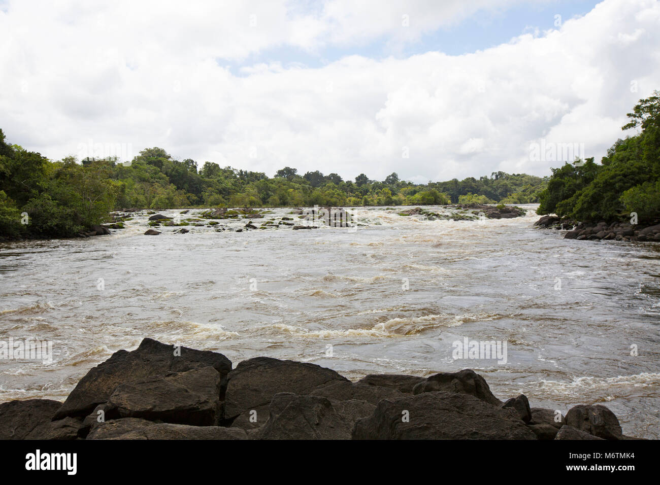 The Coppename River near Raleighvallen nature reserve, Suriname, South ...