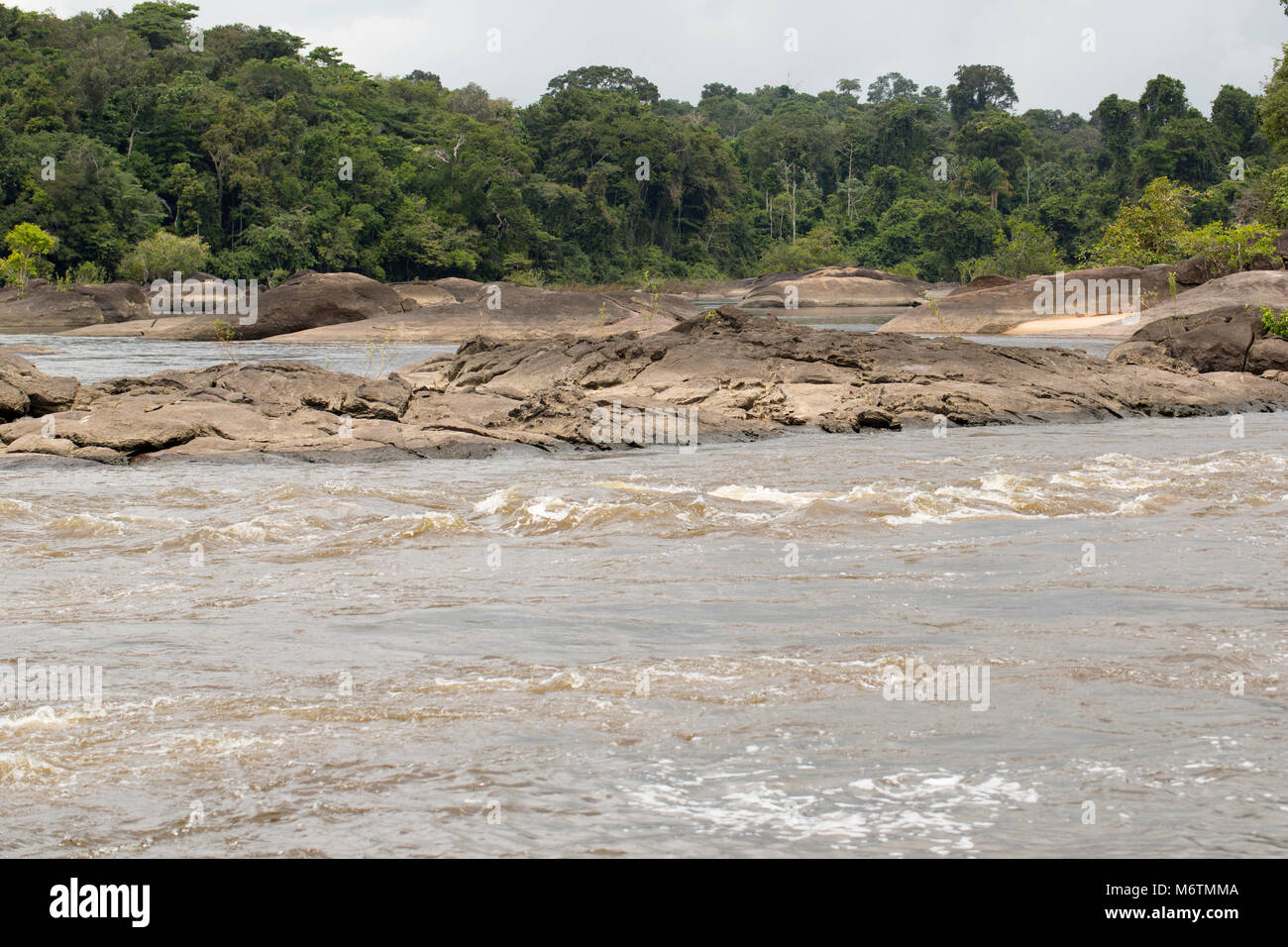 The Coppename river near Raleighvallen reserve, Suriname, South America ...