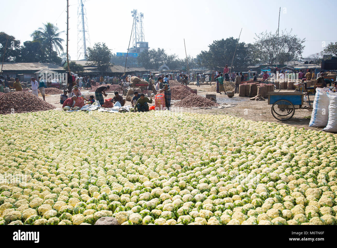 Bogra hi-res stock photography and images - Alamy