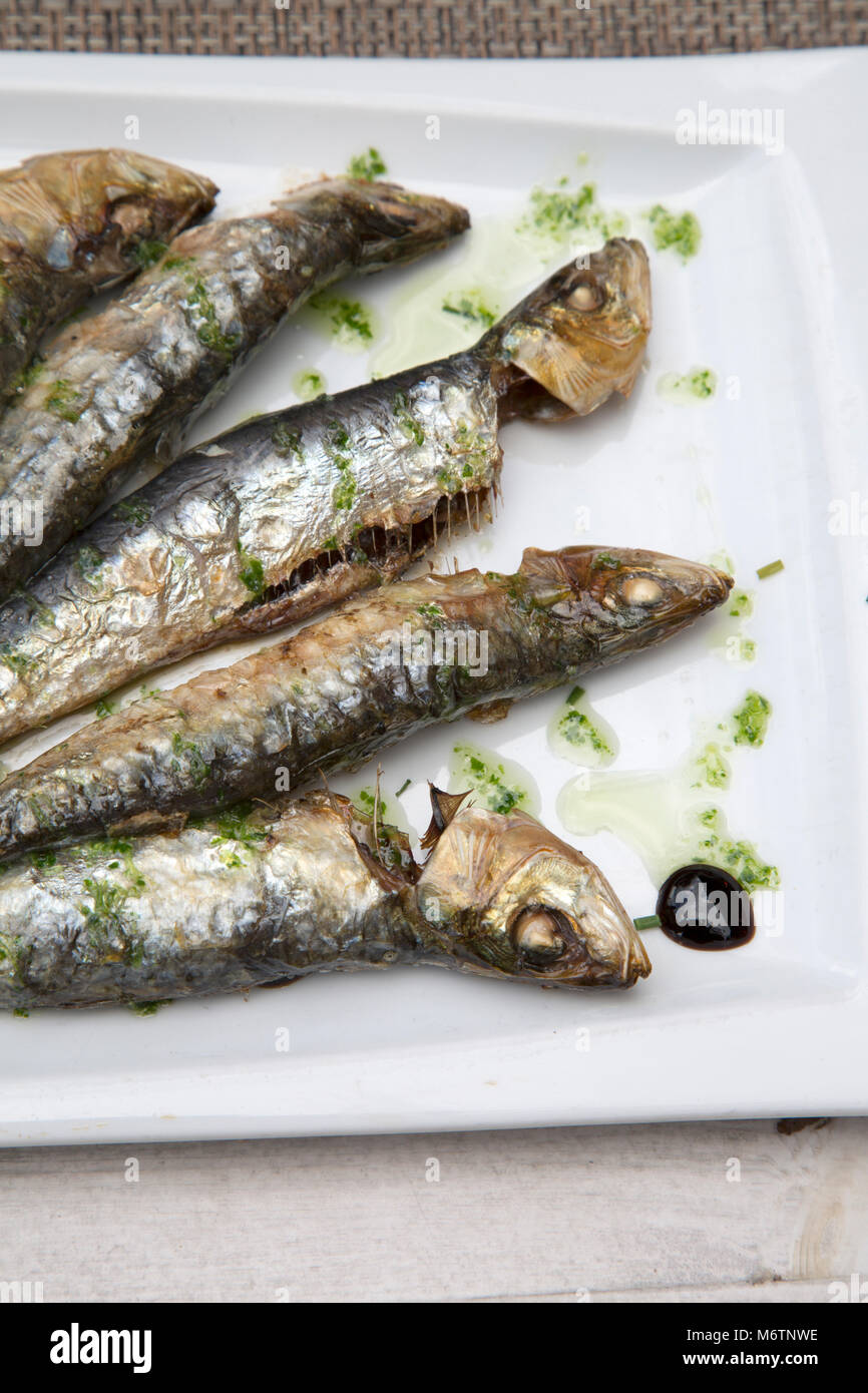 Sardine Fish, Majorca Spain Stock Photo - Alamy