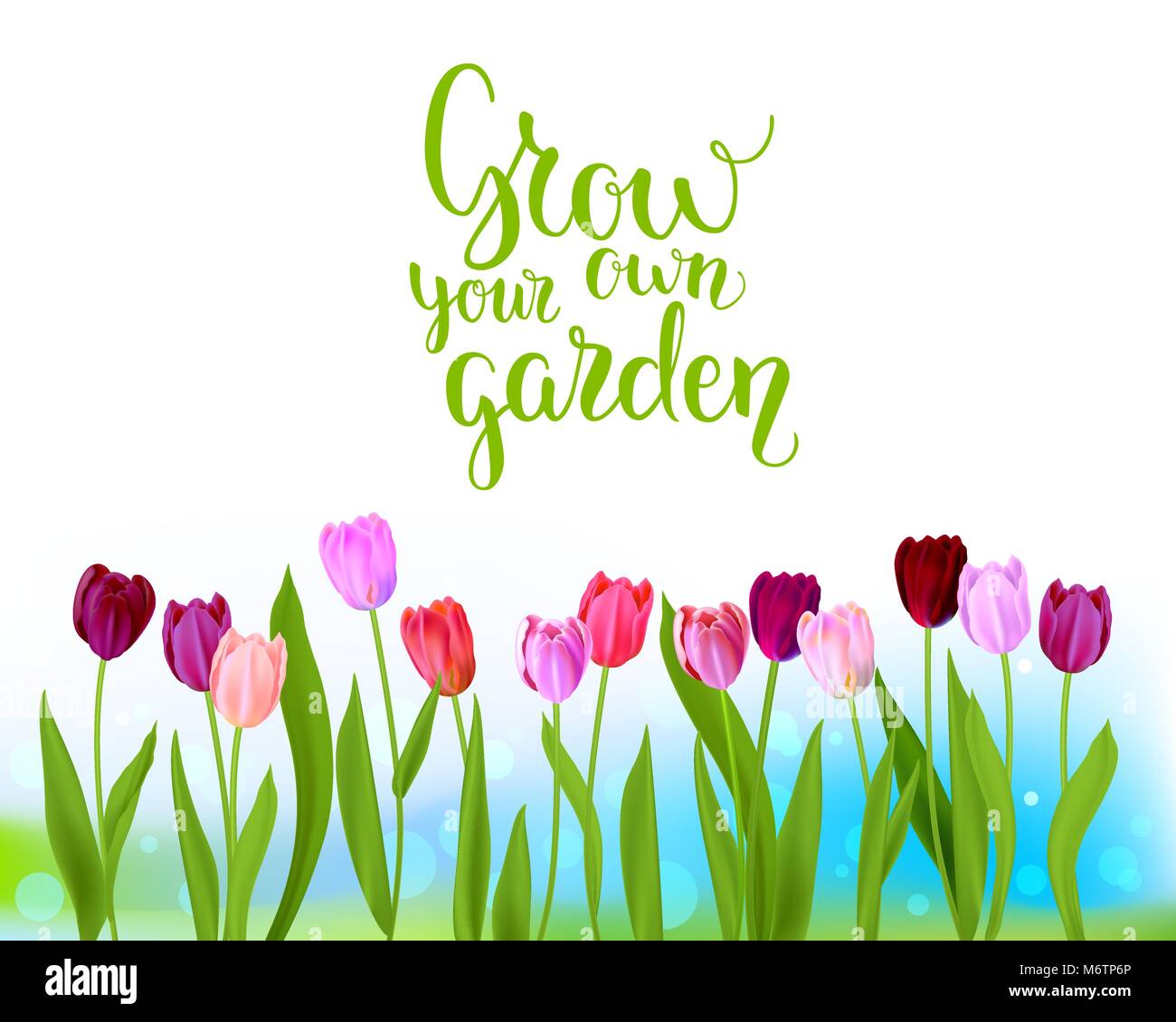 Tulip Garden Clipart