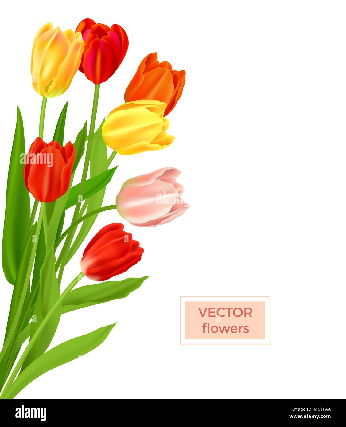 Spring field pink tulips Stock Vector Images - Alamy