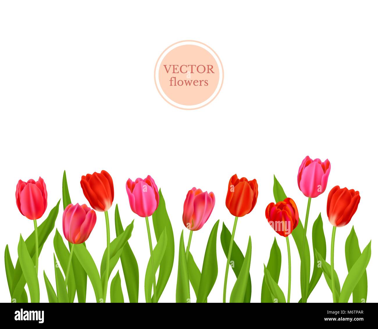 Gardening summer vector hi-res stock photography and images - Alamy