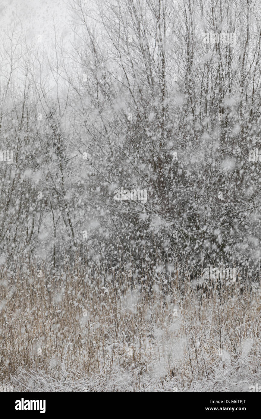 Schneefall hi-res stock photography and images - Alamy