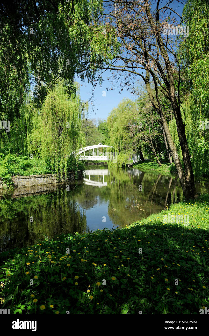 Swidnica, Polska, Poland, Silesia, dolny slask, architecture, travel ...