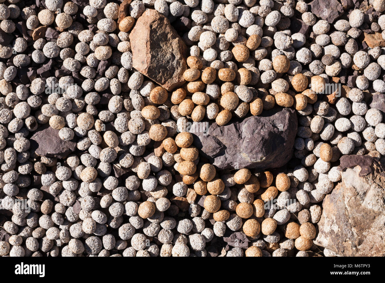 Dung Midden High Resolution Stock Photography and Images - Alamy