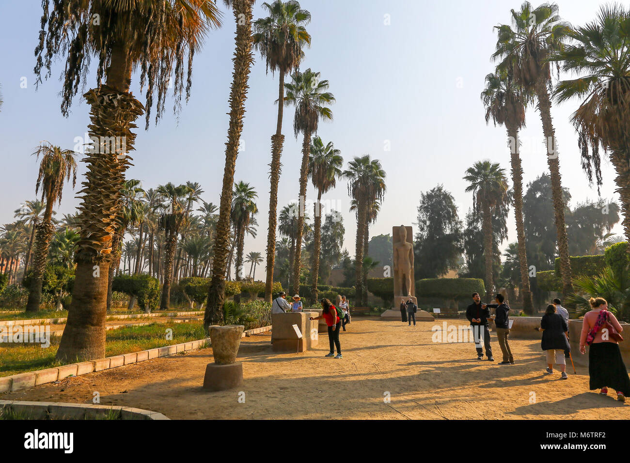 Egypt palm trees palms hi-res stock photography and images - Alamy