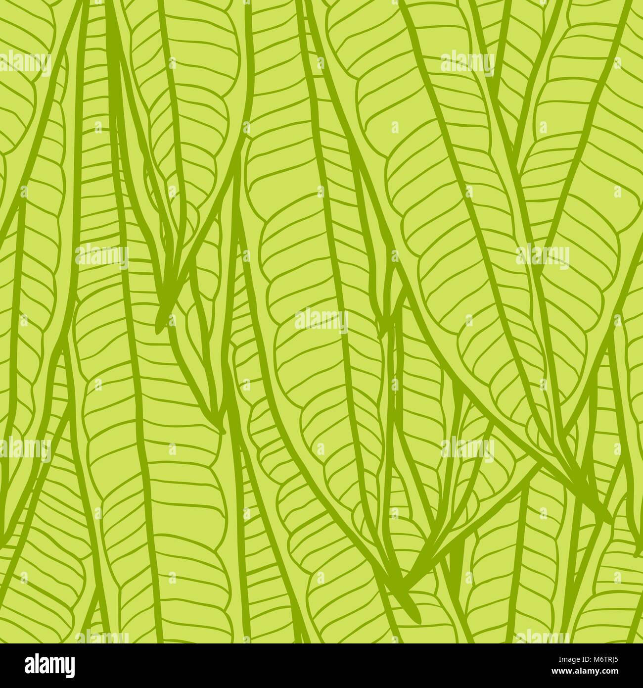 Seamless natural pattern with long leaves Stock Vector Image & Art - Alamy