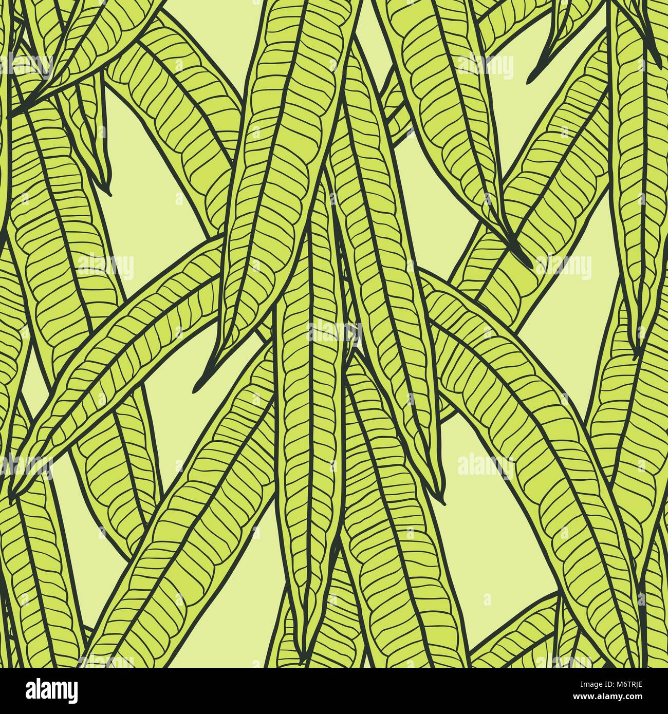 Long green leaves Stock Vector Images - Alamy