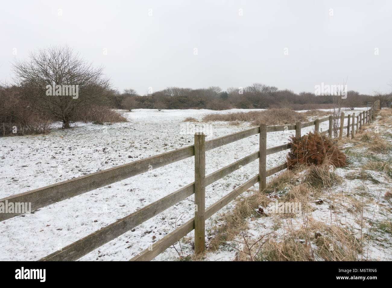 Snowy landscape scene on Turbary Common Nature Reserve, Dorset, UK as ...