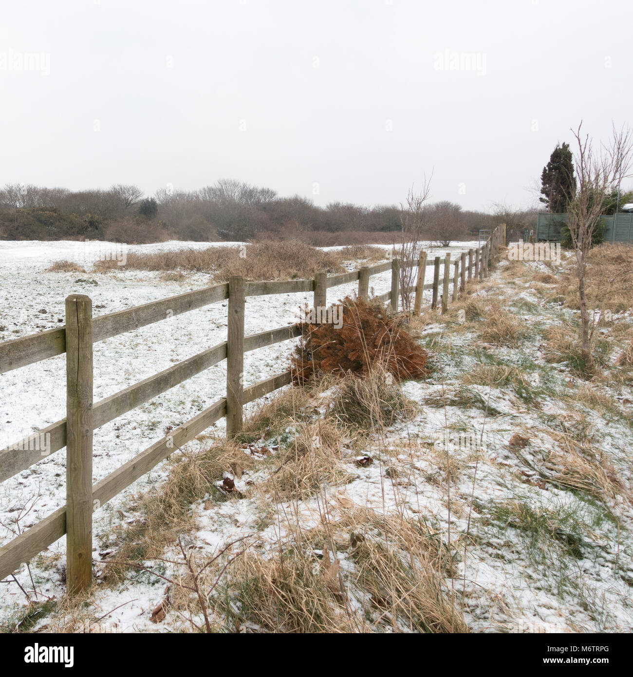 Snowy landscape scene on Turbary Common Nature Reserve, Bournemouth ...