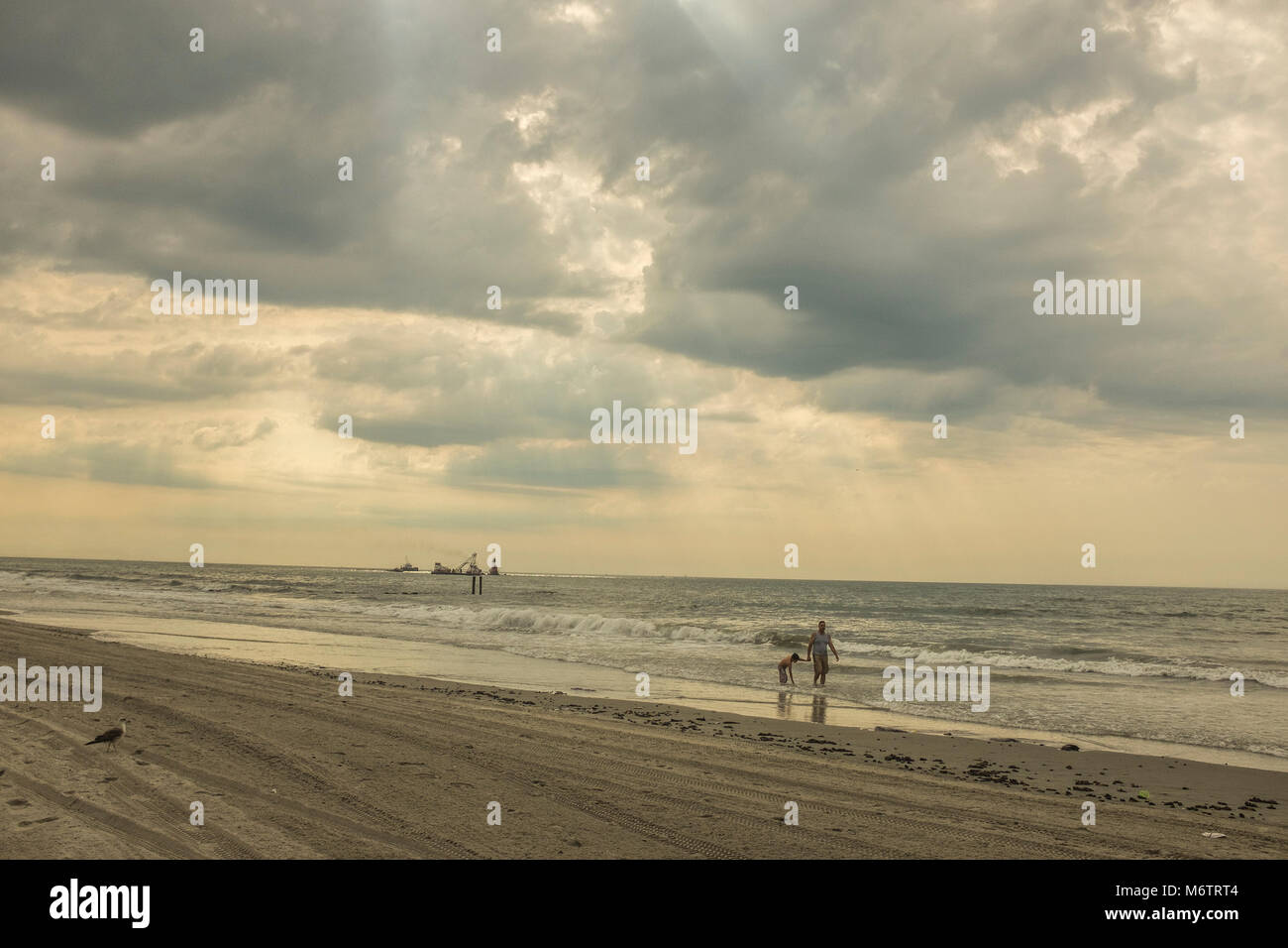 Sun rays on the beach Stock Photo - Alamy