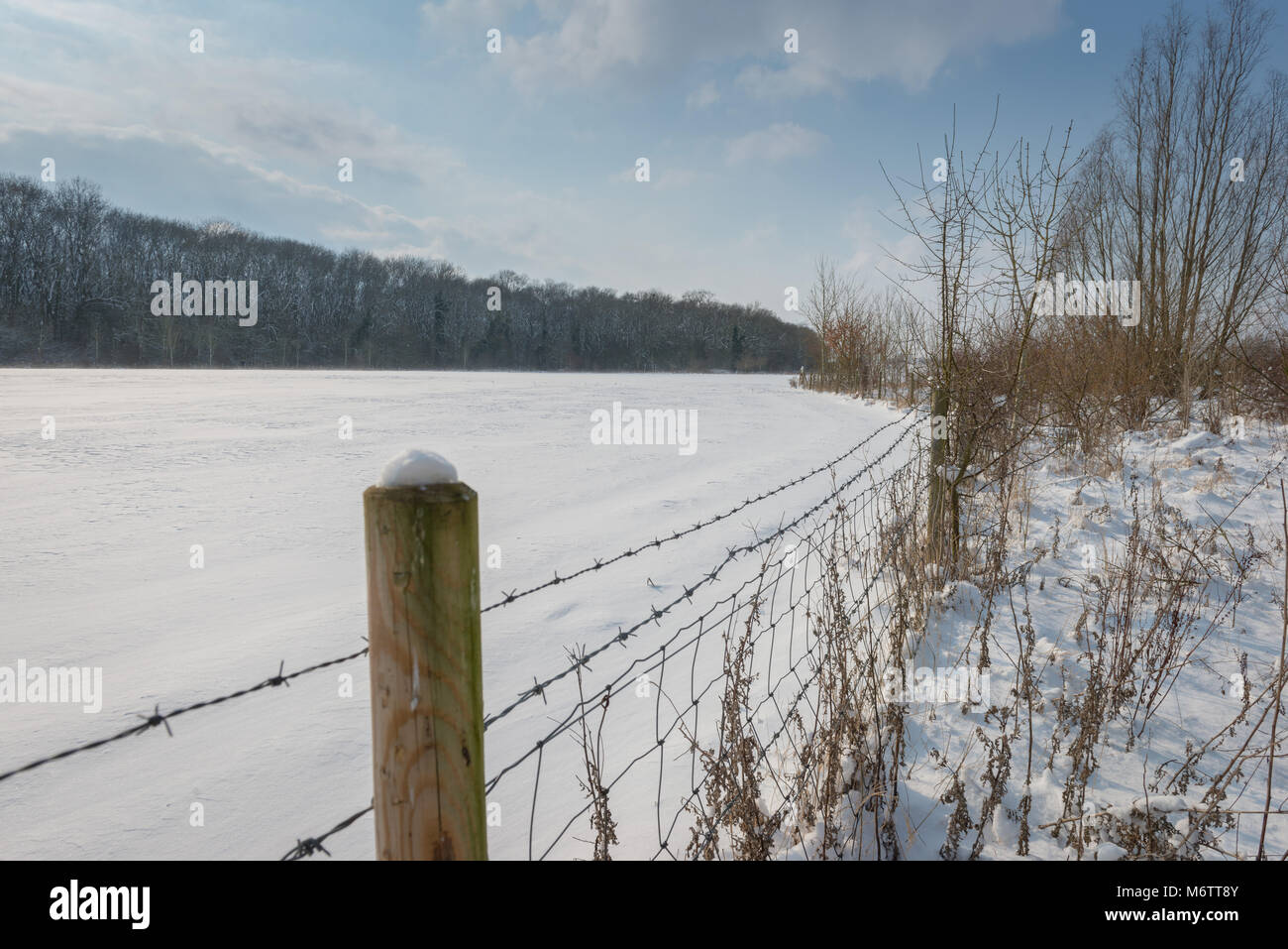 Rural winter scene hi-res stock photography and images - Alamy