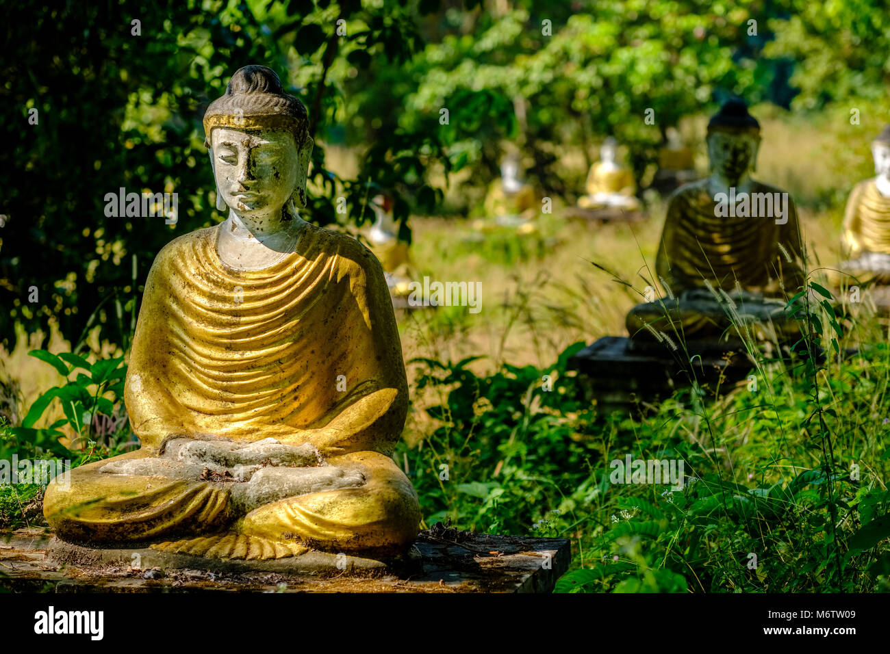 Lumbini Garden High Resolution Stock Photography and Images - Alamy