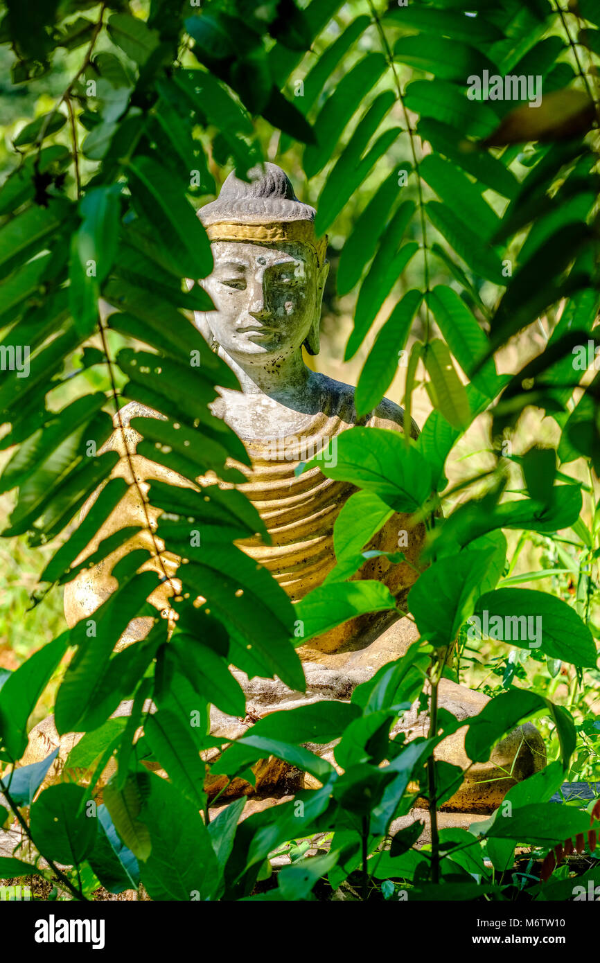 Buddha statue of Lumbini Garden behind the leafs of a tree below Mt ...