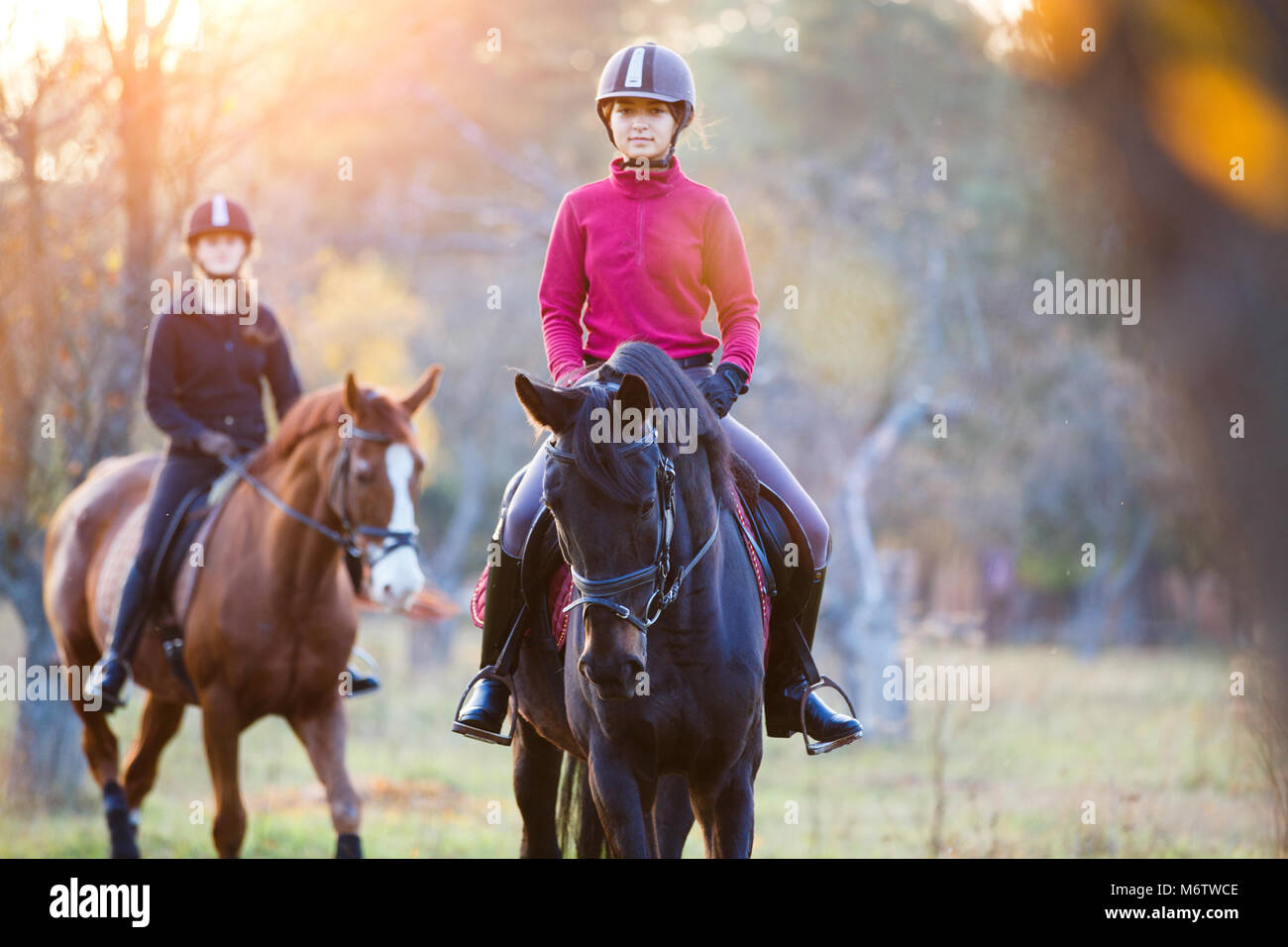 Group of rider girls riding their horses in park. Equestrian recreation ...