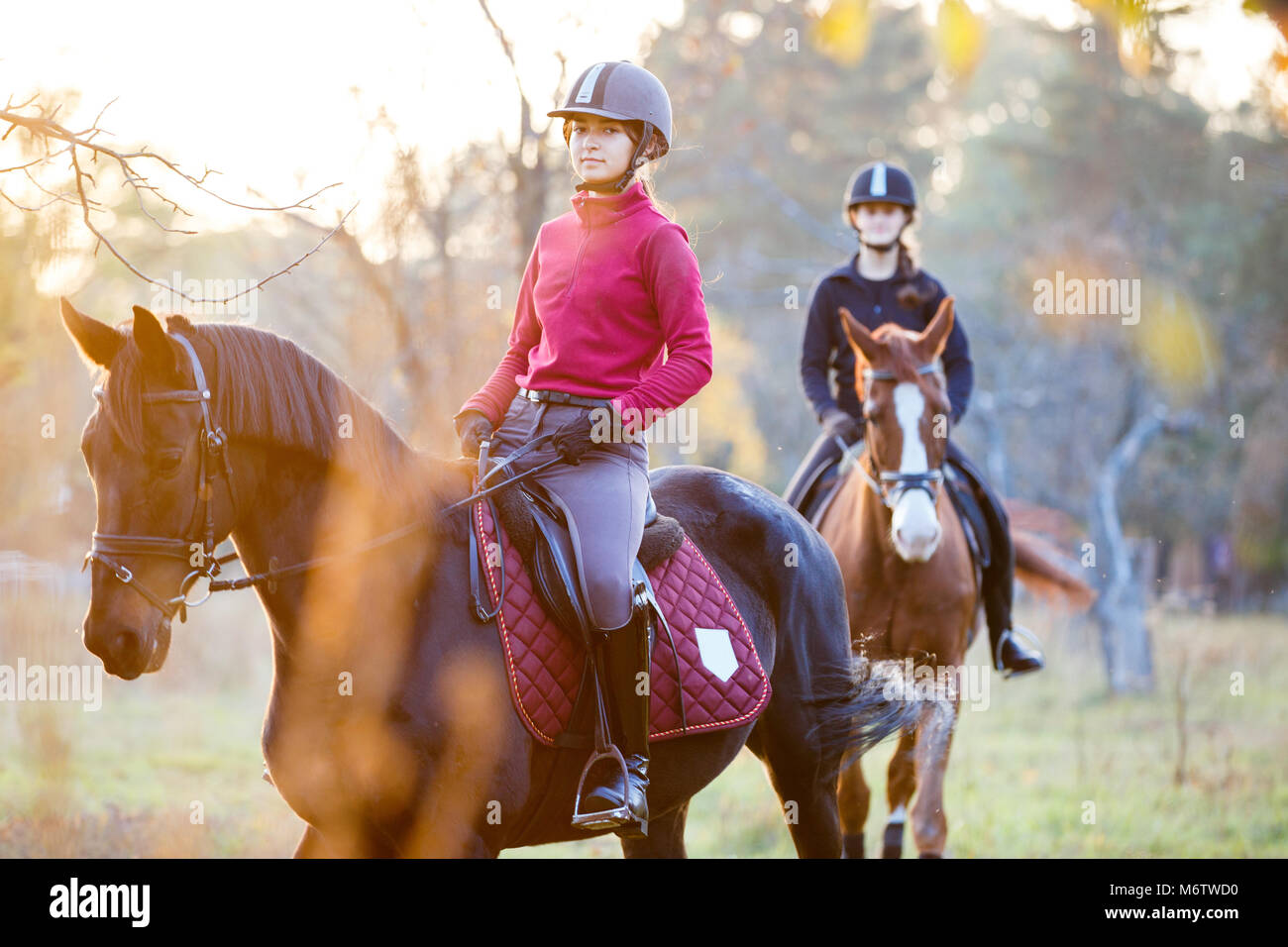 Group of rider girls riding their horses in park. Equestrian recreation ...
