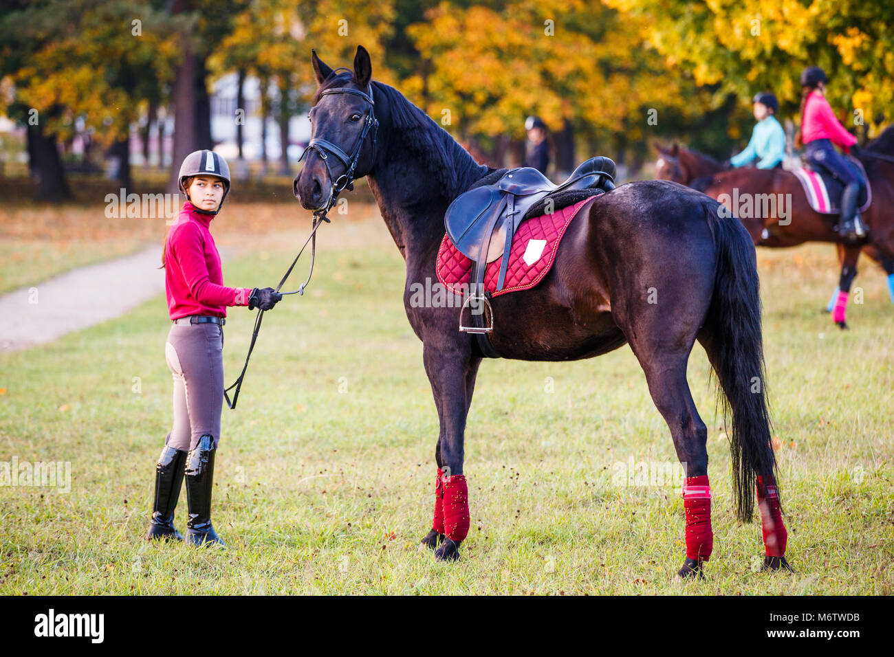 Group of rider girls walking with horses in park. Equestrian recreation ...