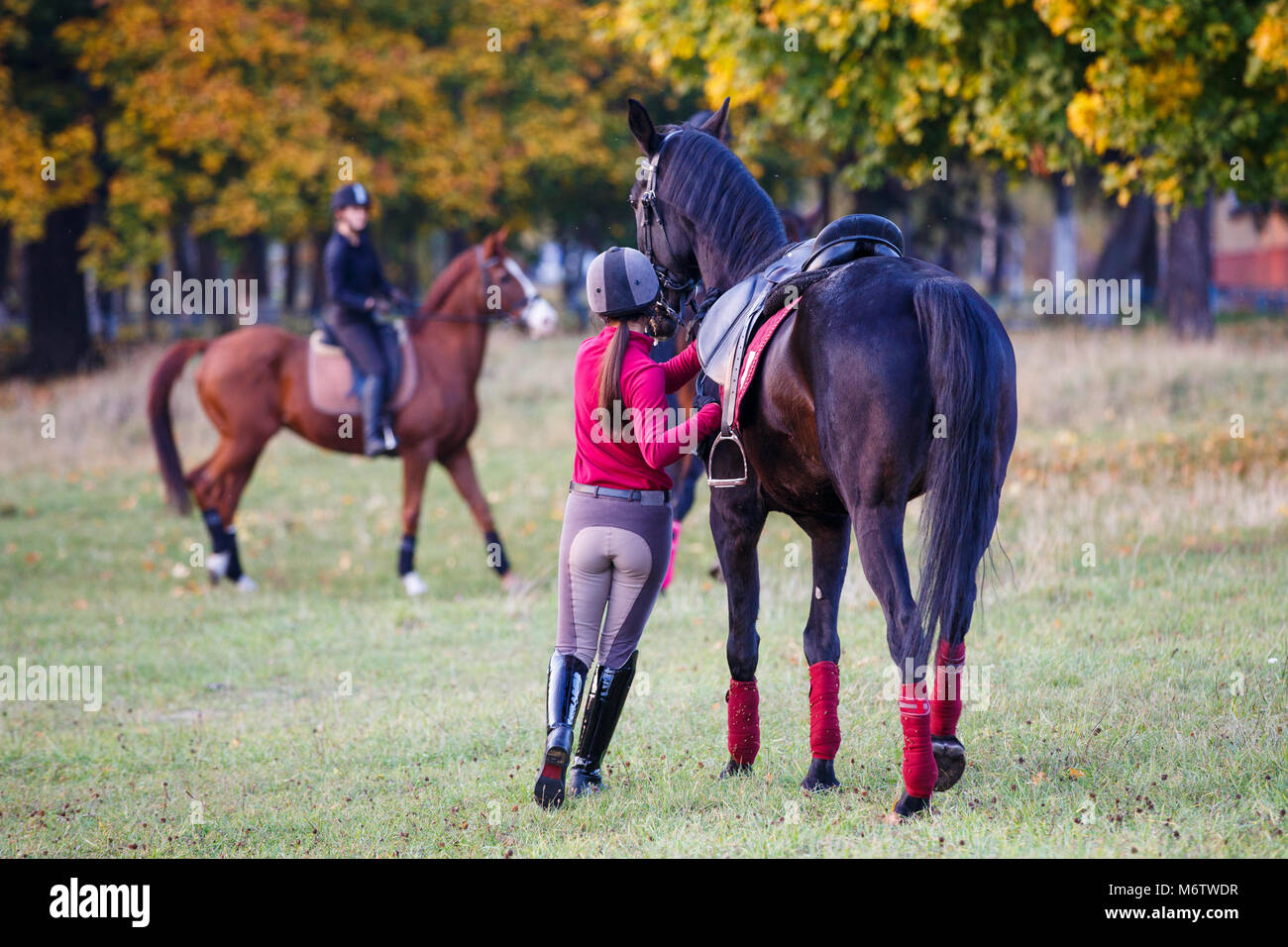 Group of rider girls walking with horses in park. Equestrian recreation ...