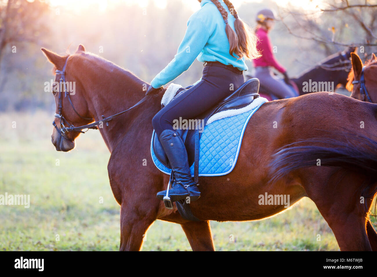 Group of rider girls riding their horses in park. Equestrian recreation ...