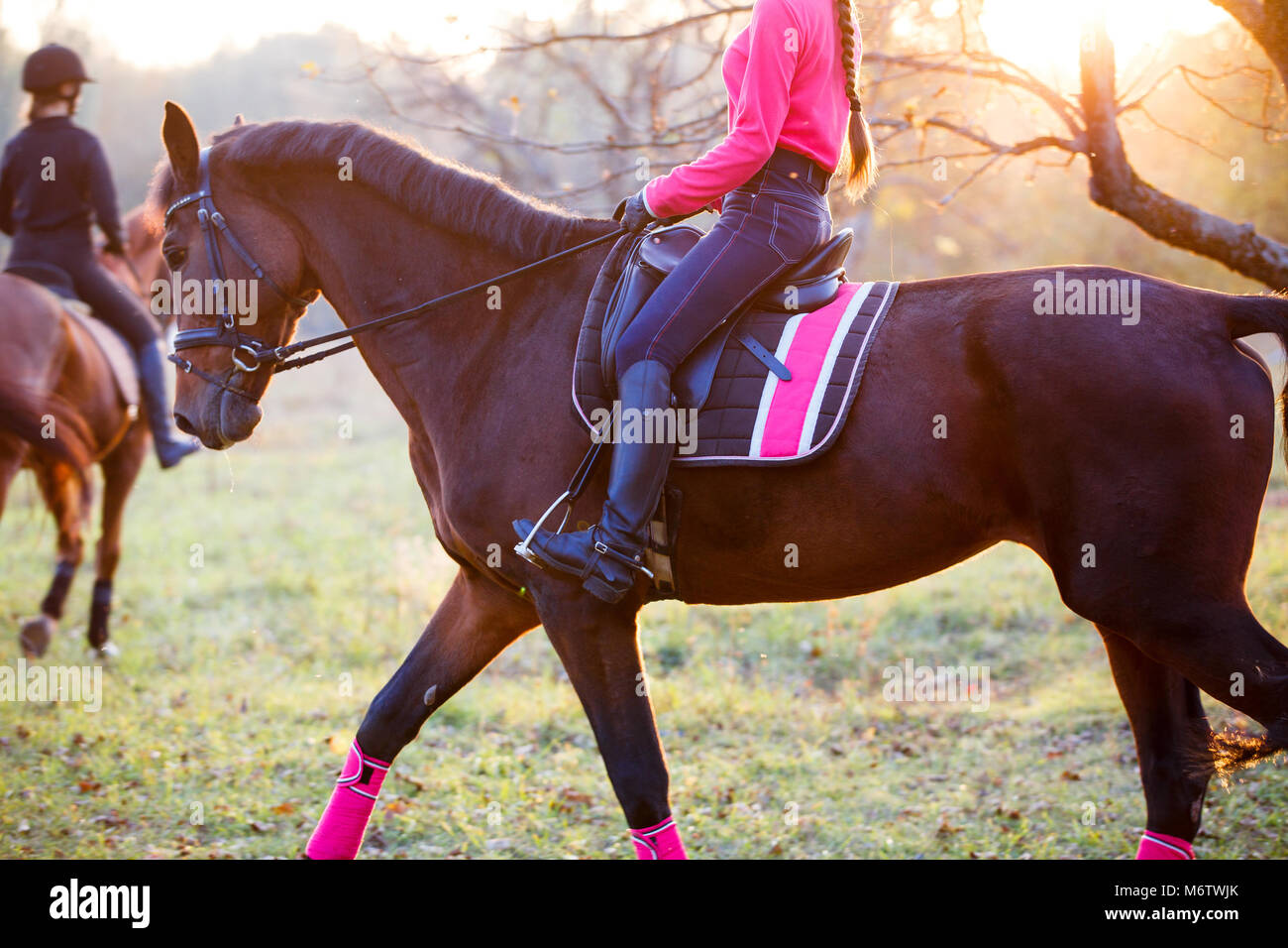 Group of rider girls riding their horses in park. Equestrian recreation ...