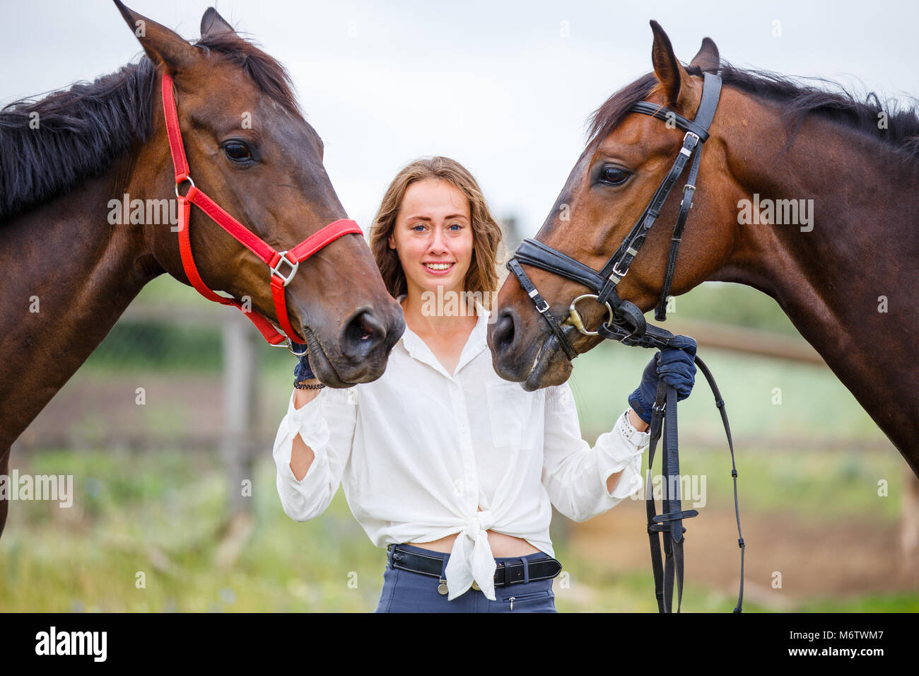 Young rider girl having fun with two her horses. Equestrian sport ...