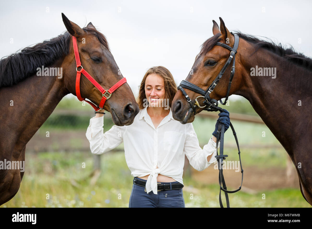 Young rider girl having fun with two her horses. Equestrian sport ...