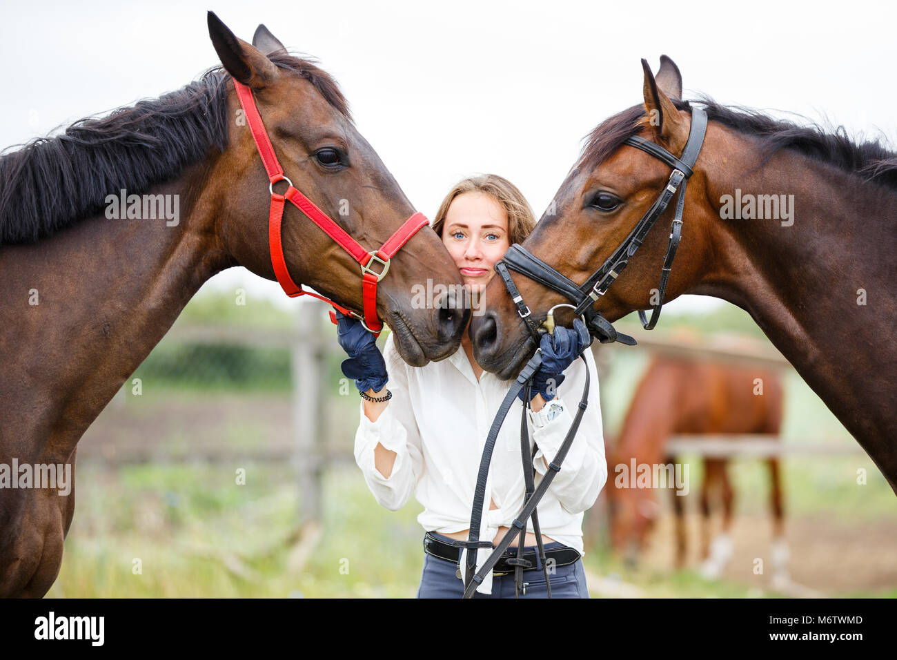 Young rider girl having fun with two her horses. Equestrian sport ...