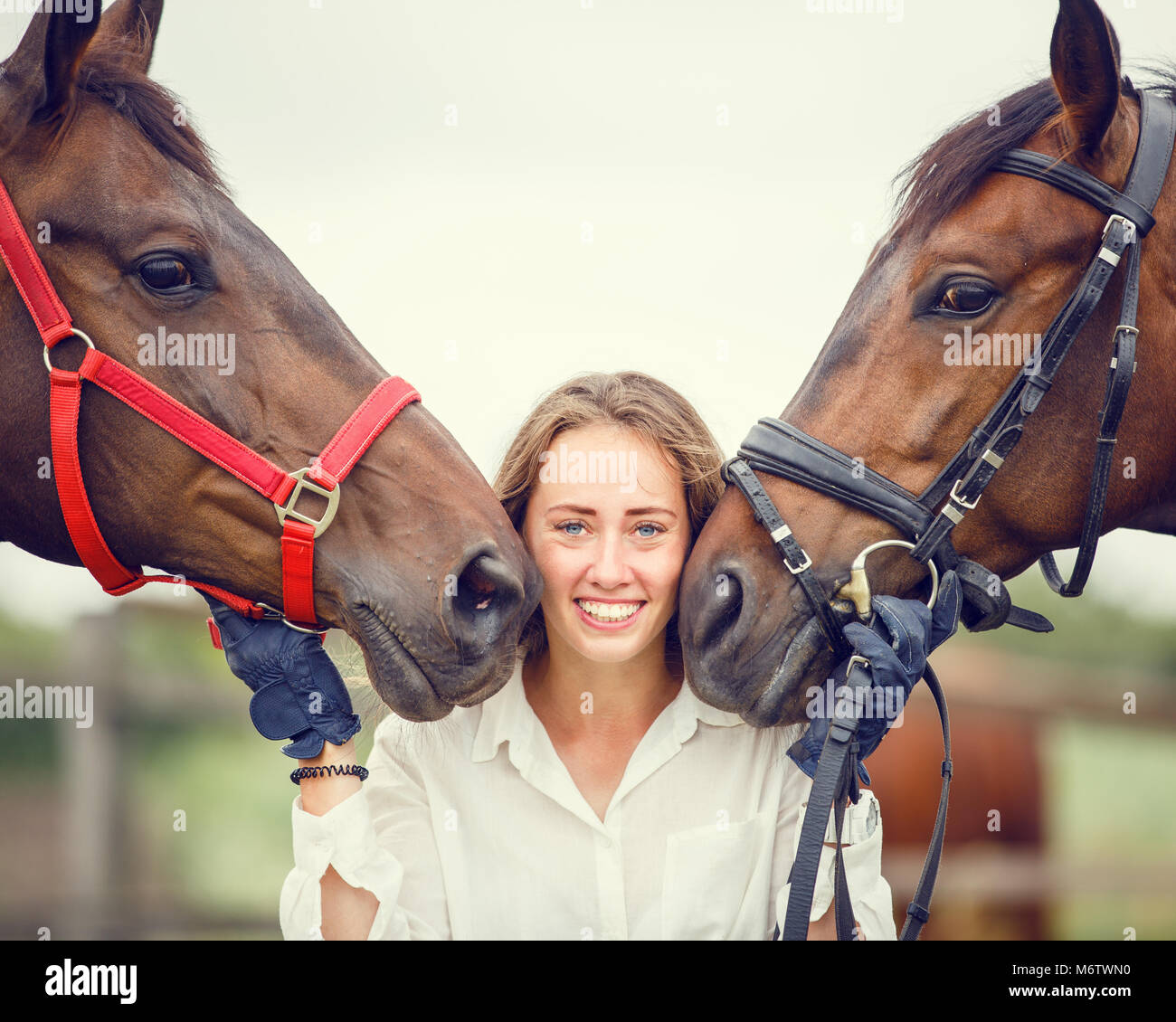 Young rider girl having fun with two her horses. Equestrian sport ...