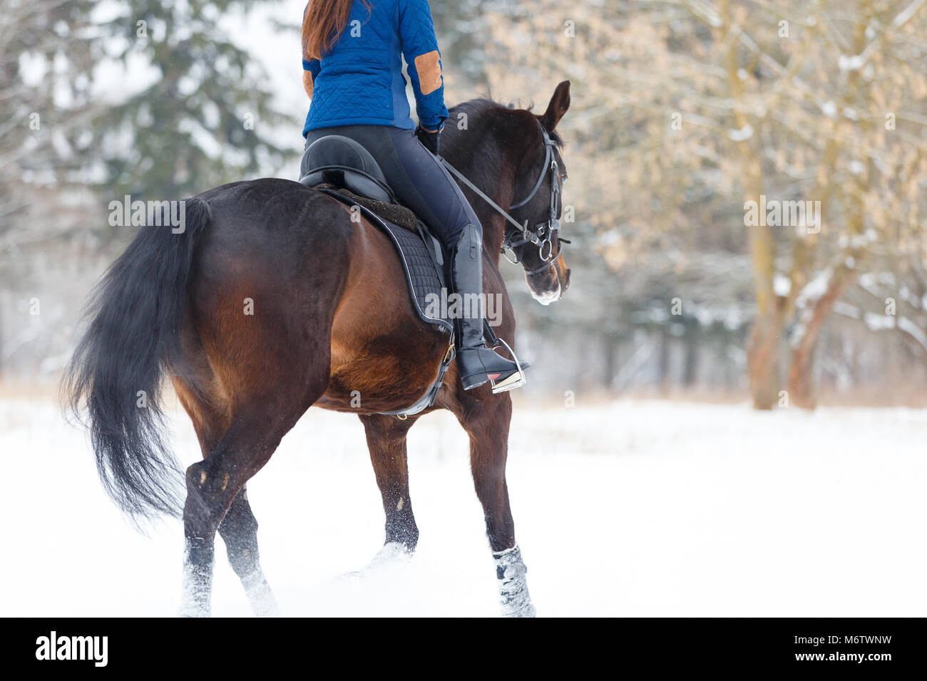 Rider walking hi-res stock photography and images - Alamy