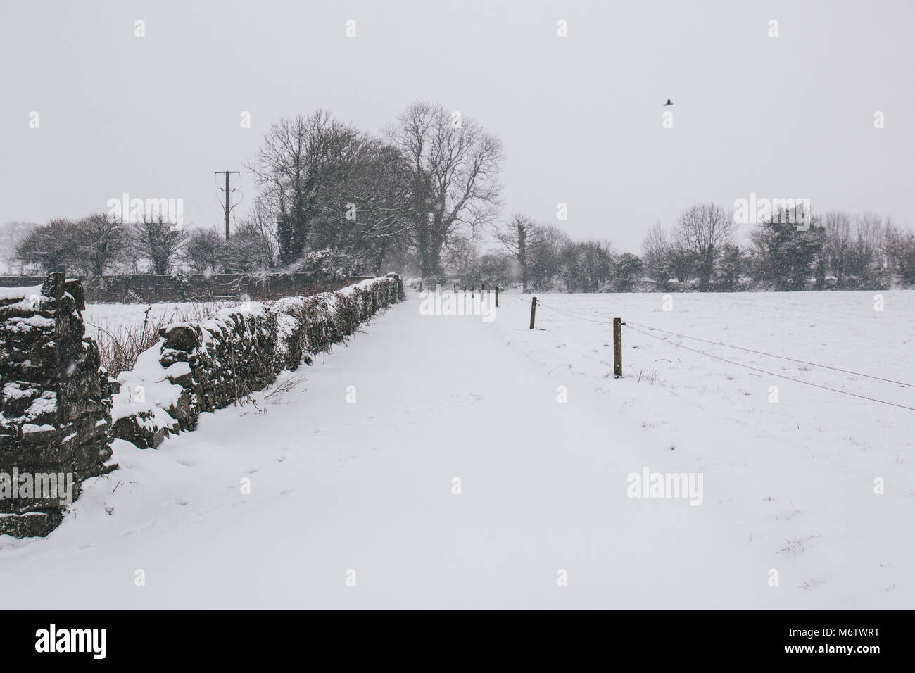 Irish village during Storm Emma, also known as the Beast from the East ...