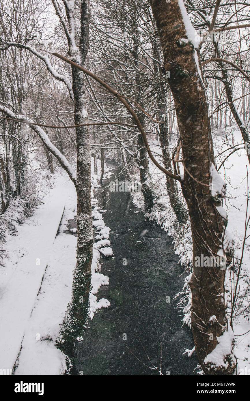 Rural setting in the village of Carrignavar during Storm Emma, also ...
