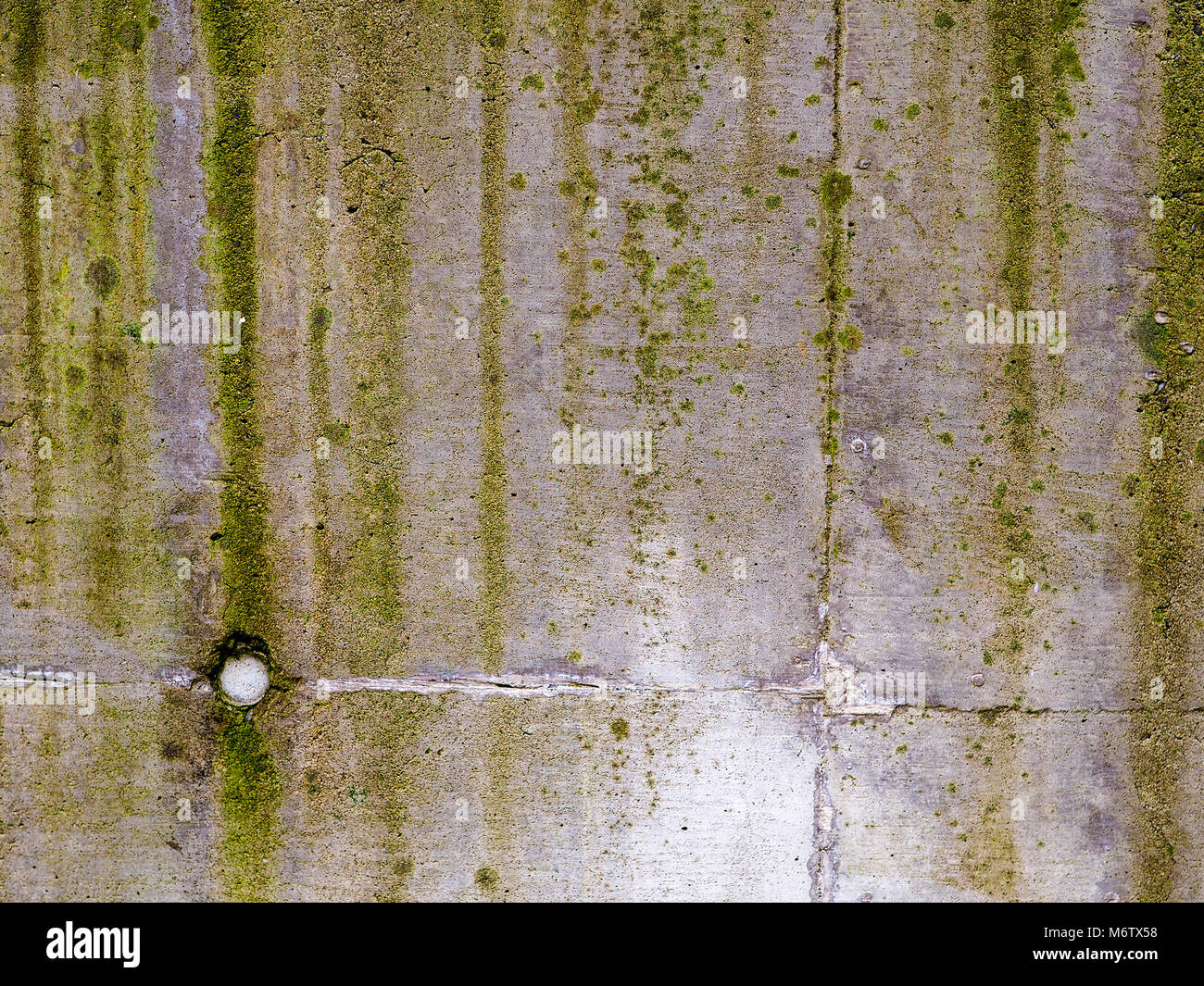 Moss and mold streak down a concrete wall Stock Photo - Alamy