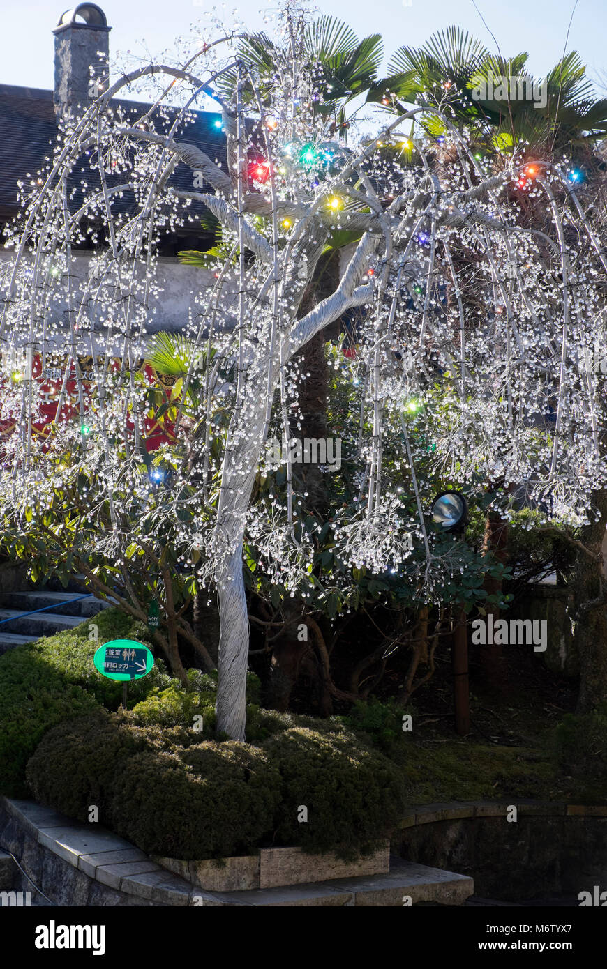 The Crystal Glass Tree at the venetian museum in hakone,japan Stock ...