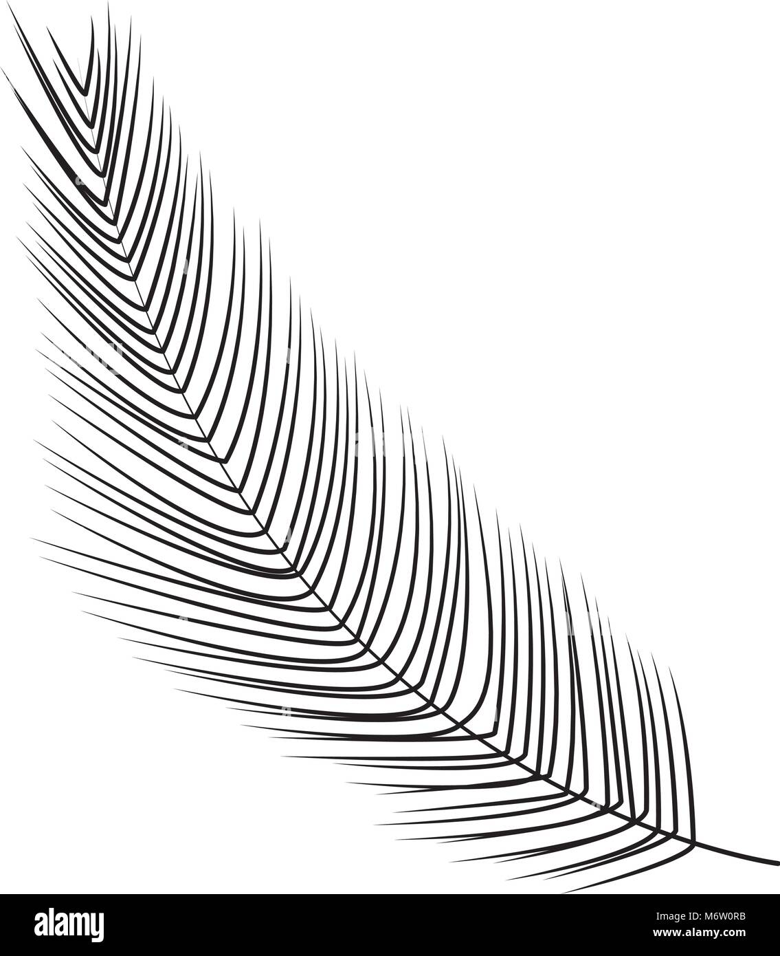 branch palm leaves botanical foliage vector illustration outline image ...