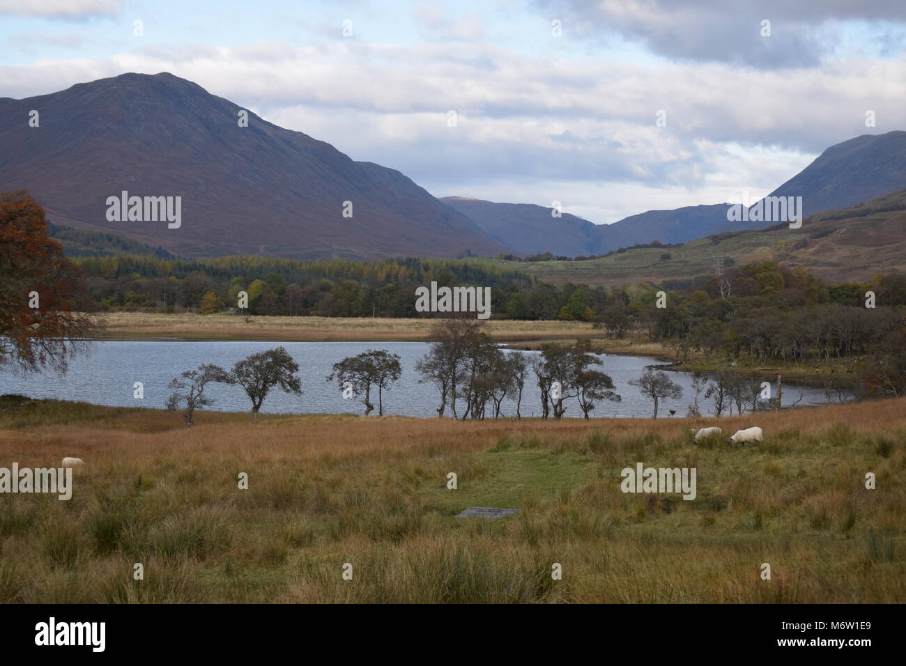 "loch" "loch awe" "Scotland" "kilchurn castle Stock Photo - Alamy