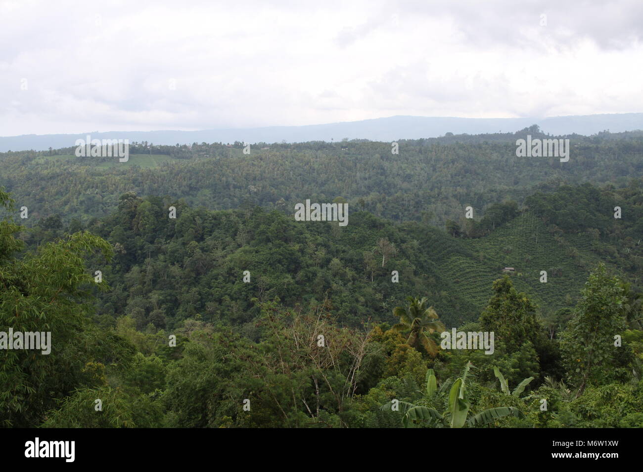 Landscape over the jungle Stock Photo - Alamy