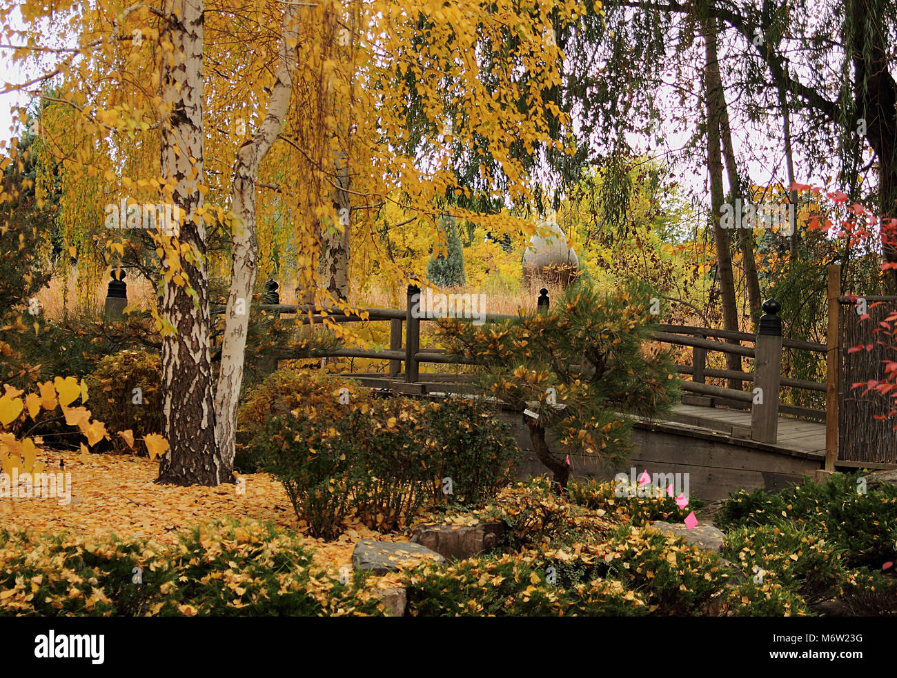 A City Park In Autumn in Denver, Colorado Stock Photo - Alamy