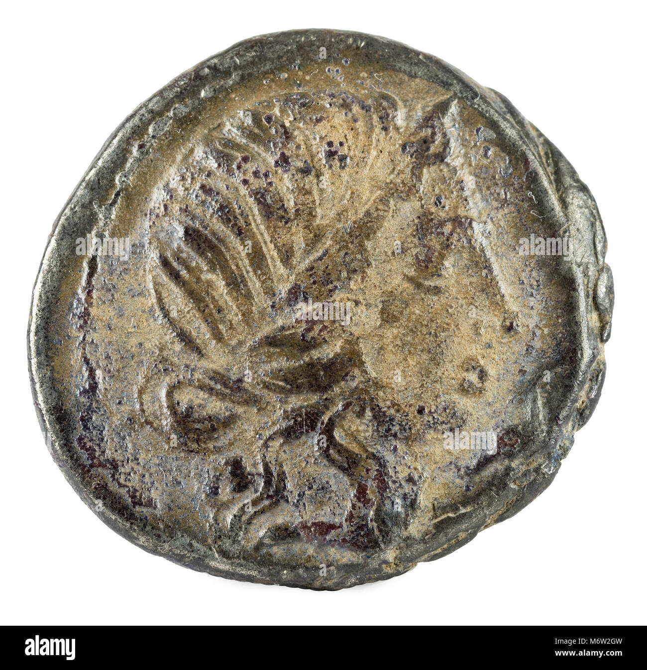 Caecilius High Resolution Stock Photography and Images - Alamy