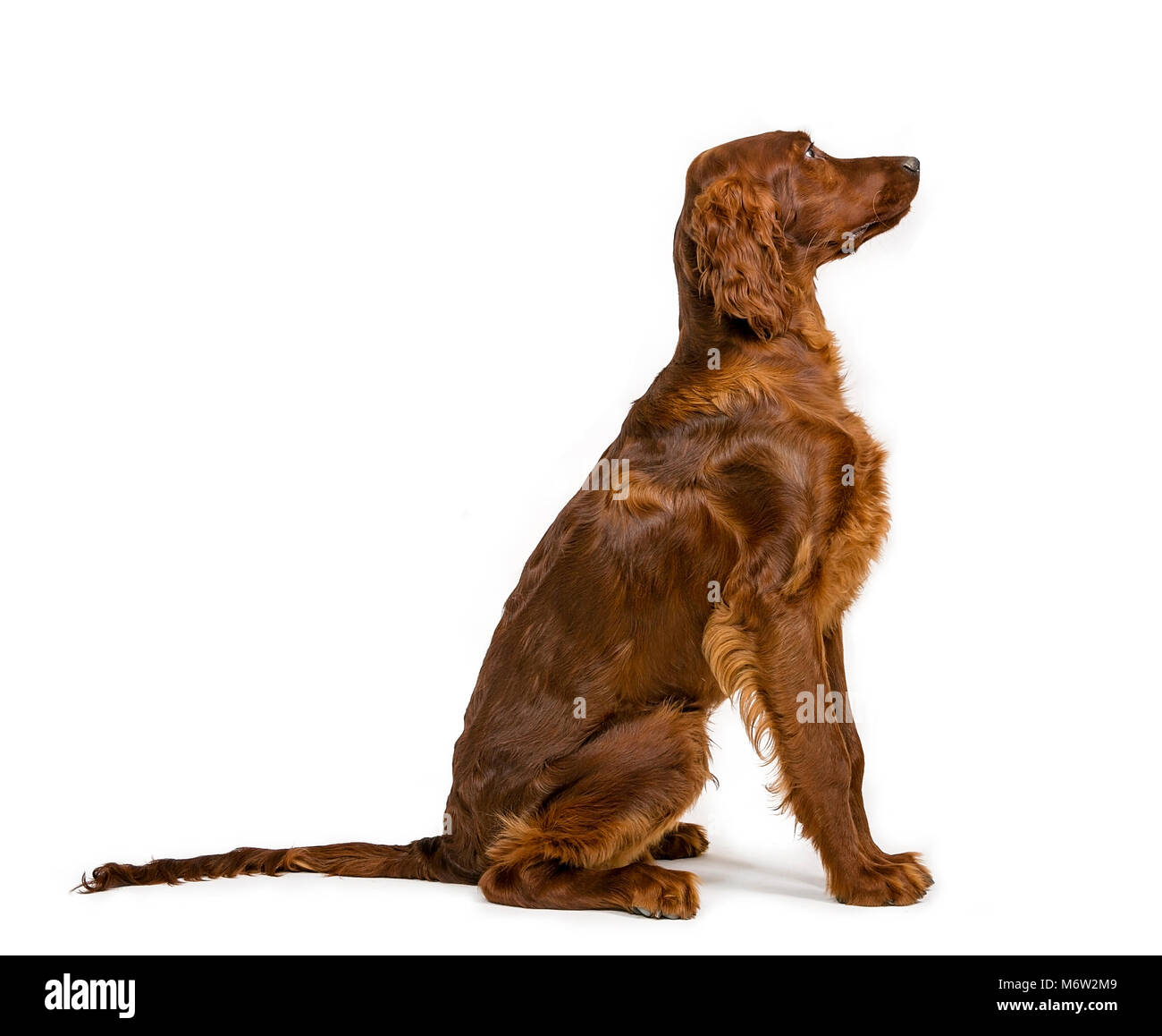 Irish house old Cut Out Stock Images & Pictures - Alamy