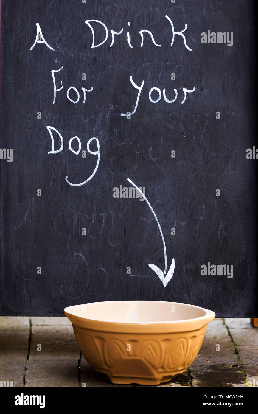 A drink for your Dog street sign Stock Photo - Alamy