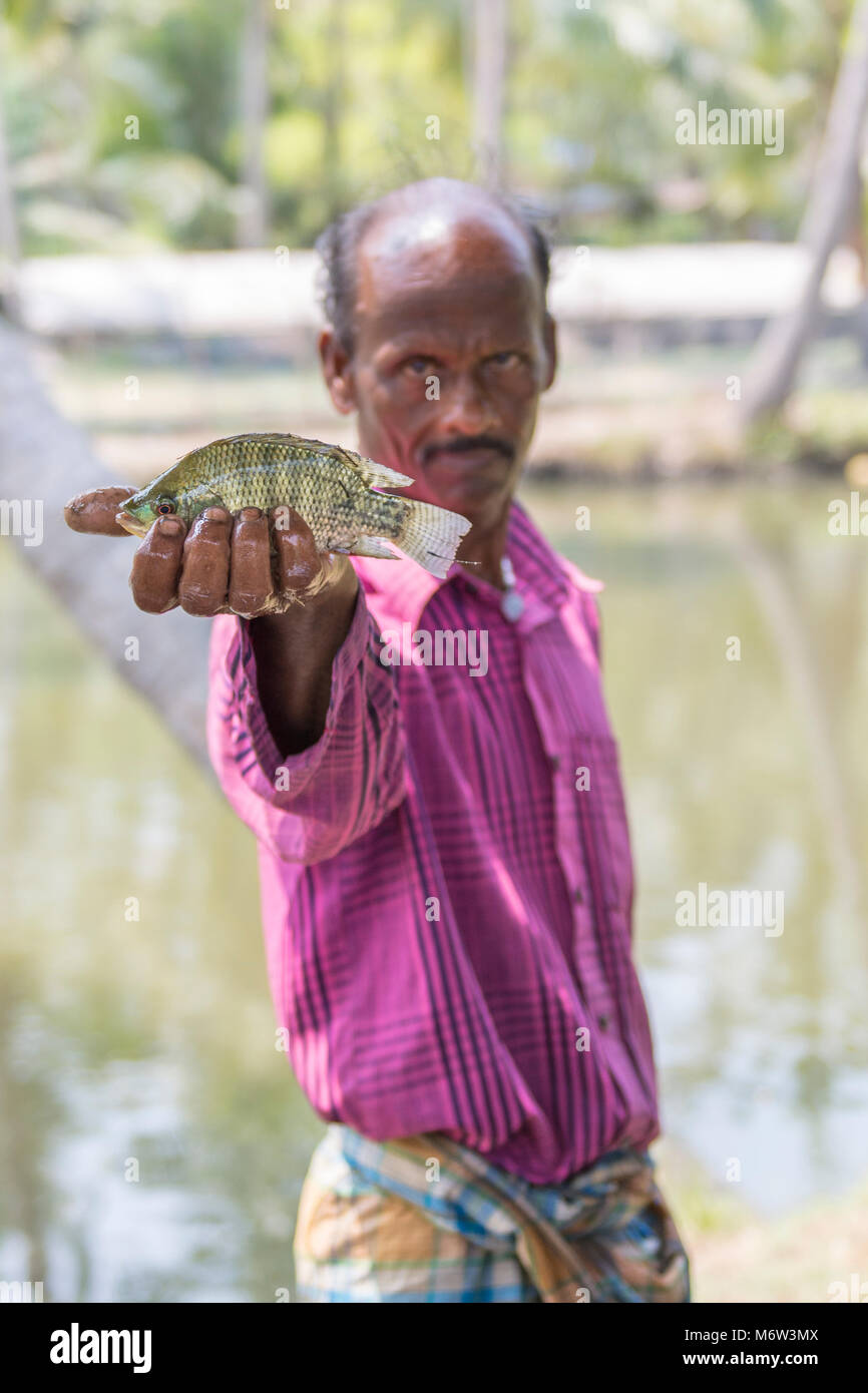Indian man shows his catch of fish in Kumbalangi Village, Cochin, Kochi ...