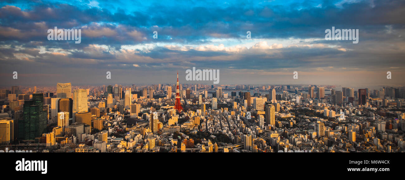 Tokyo Megacity Panoramic High Resolution Stock Photography and Images ...