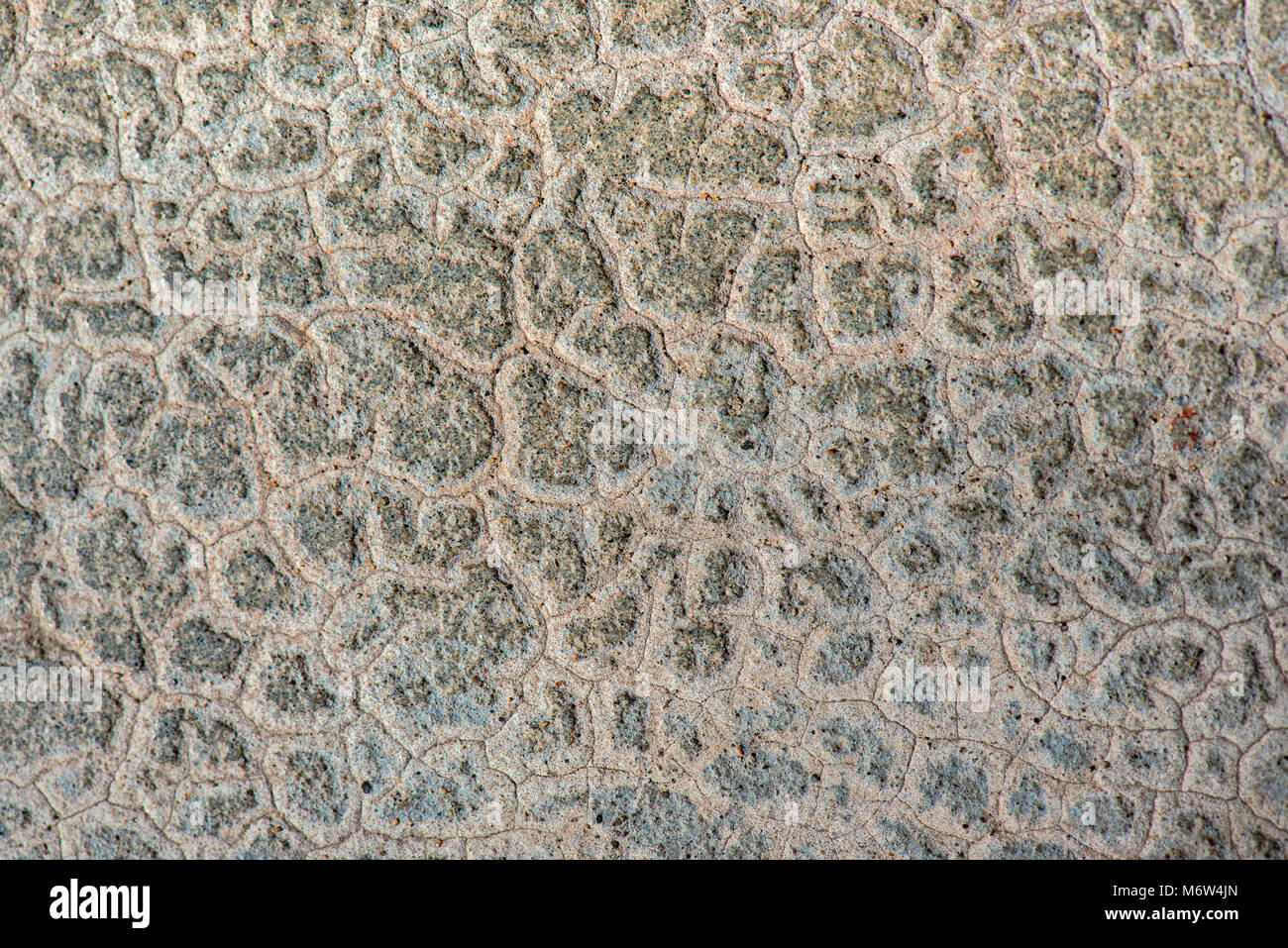 Old cracked concrete texture with sand in fissures Stock Photo - Alamy