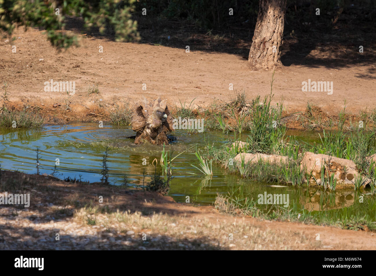 Bathing areas hi-res stock photography and images - Alamy