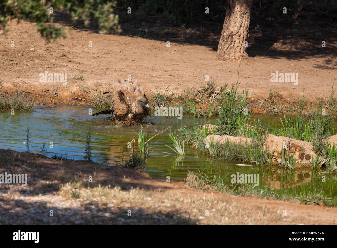 Bathing areas hi-res stock photography and images - Alamy