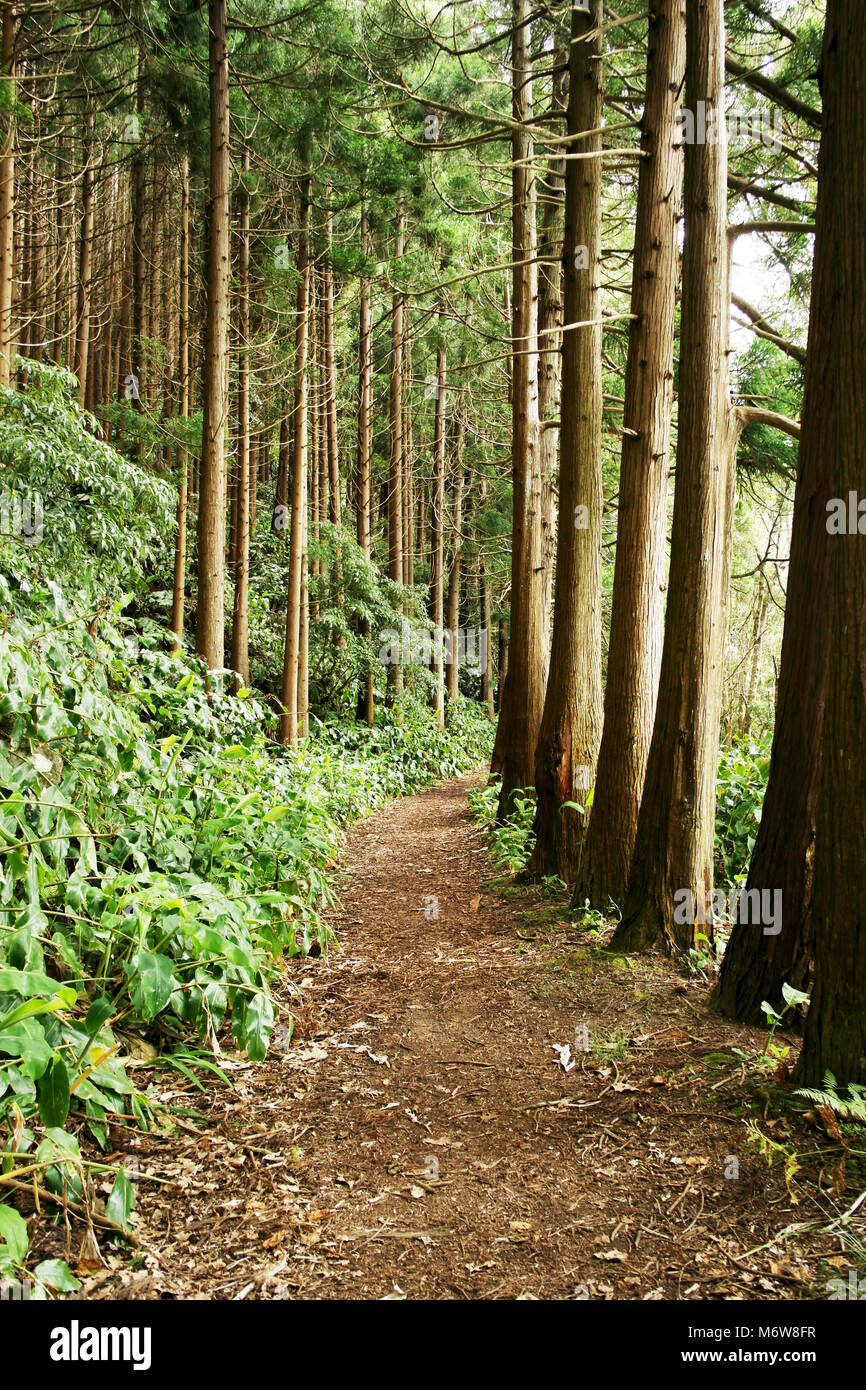 Csc background hi-res stock photography and images - Alamy