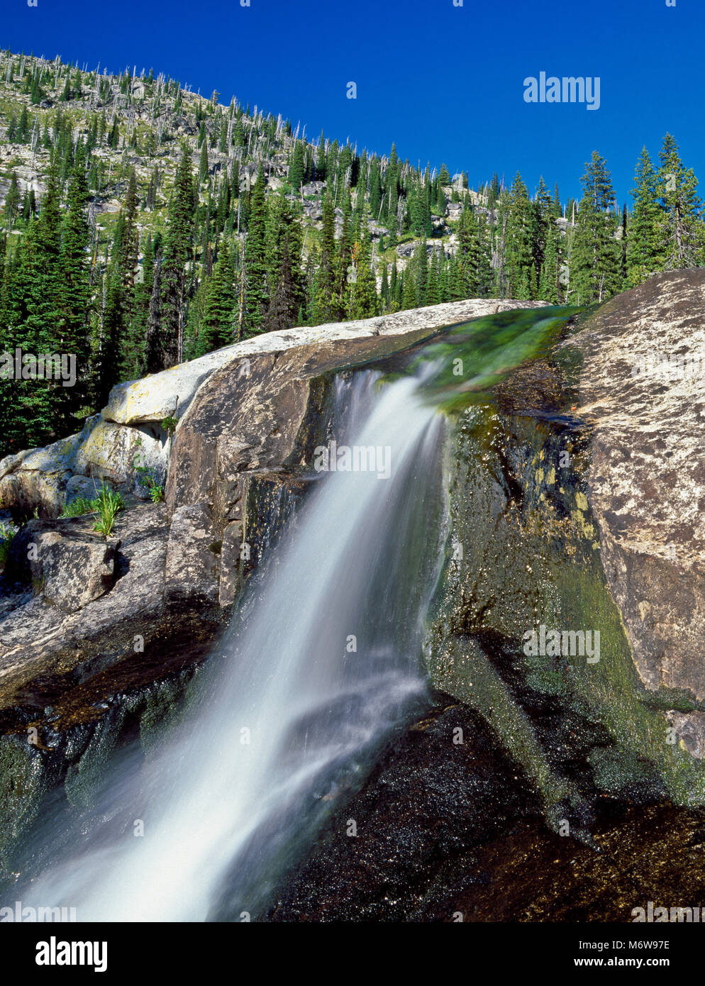 waterfall on upper bear creek in the selway-bitterroot wilderness ...