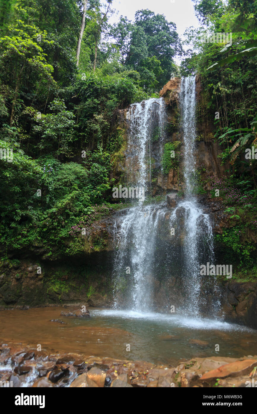 Dambri waterfall - in Lam Dong Vietnam Stock Photo - Alamy
